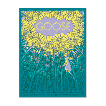 Posters – goose the band