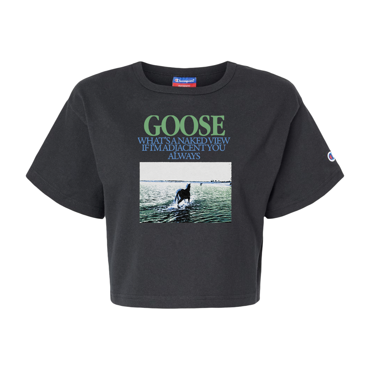 Ladies – goose the band